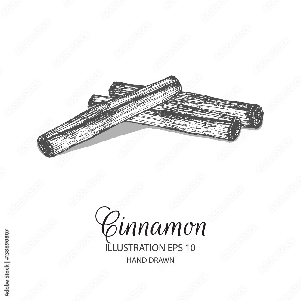 Cinnamon stick hand drawn illustration by ink and pen sketch. Isolated ...