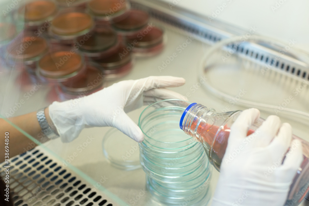 Eosin Methylene Blue (EMB) Agar for culture medium for Inoculum tests ...