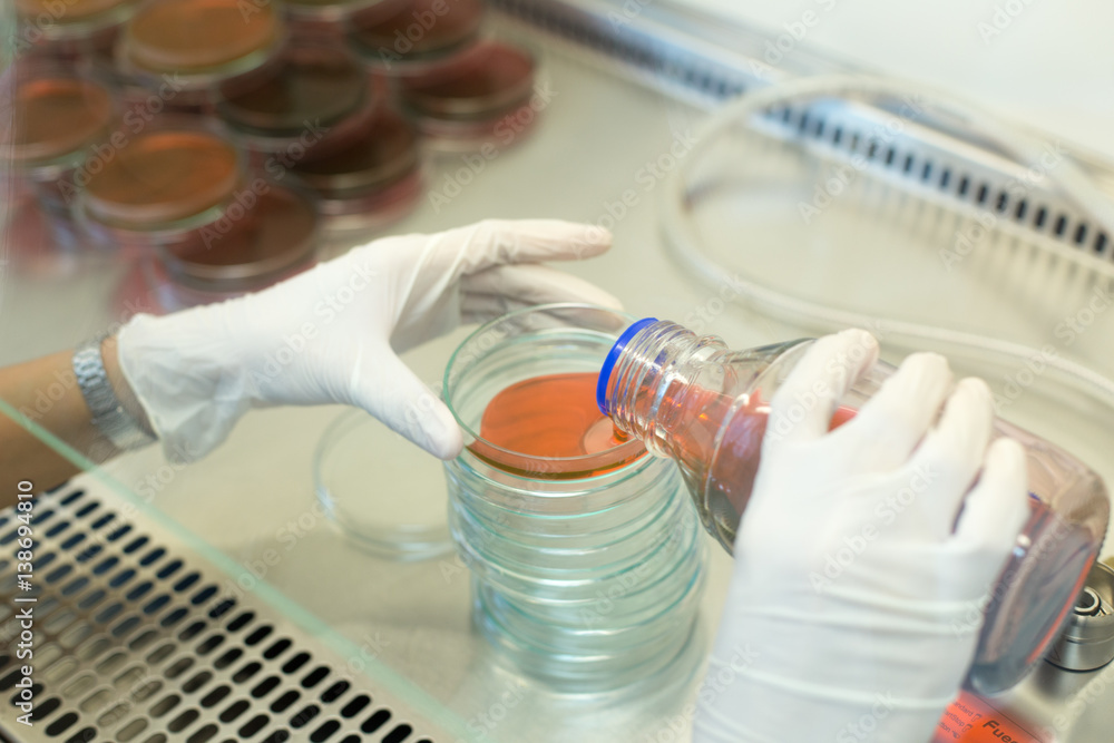 Fotka „Eosin Methylene Blue (EMB) Agar for culture medium for Inoculum ...