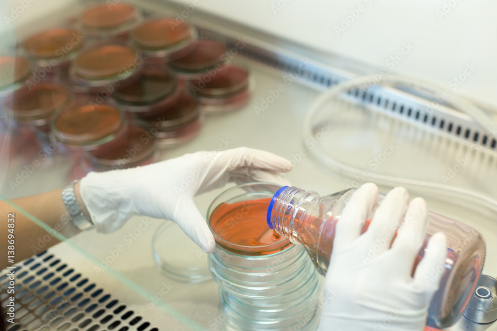 Eosin Methylene Blue (EMB) Agar for culture medium for Inoculum tests ...