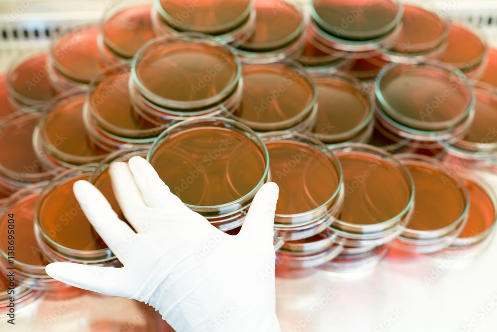 Eosin Methylene Blue (EMB) Agar for culture medium for Inoculum tests ...