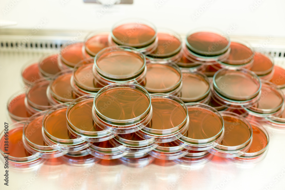 Eosin Methylene Blue (EMB) Agar for culture medium for Inoculum tests ...