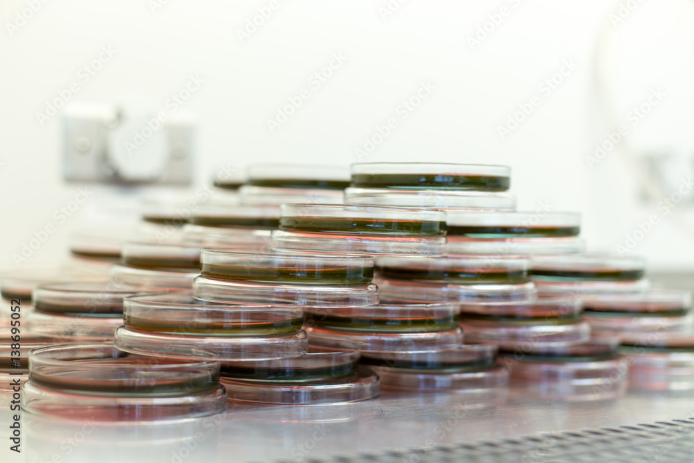 Eosin Methylene Blue (EMB) Agar for culture medium for Inoculum tests ...