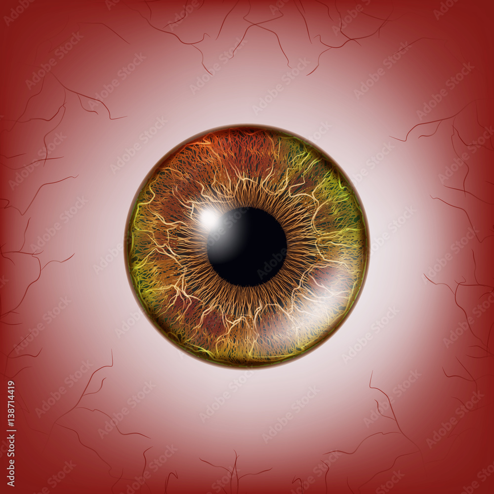 Red Eye. Scary Bloody Realistic Eyeballs. Spooky Human Eyeball With ...