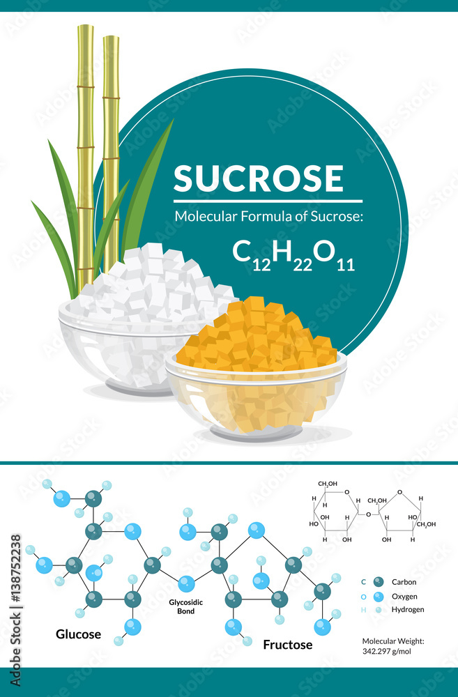 Vector illustration. Structural chemical formula and model of sucrose ...