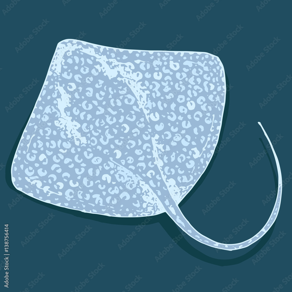 Vector stingray, ray fish illustration. Animal in the wild - hand drawn ...