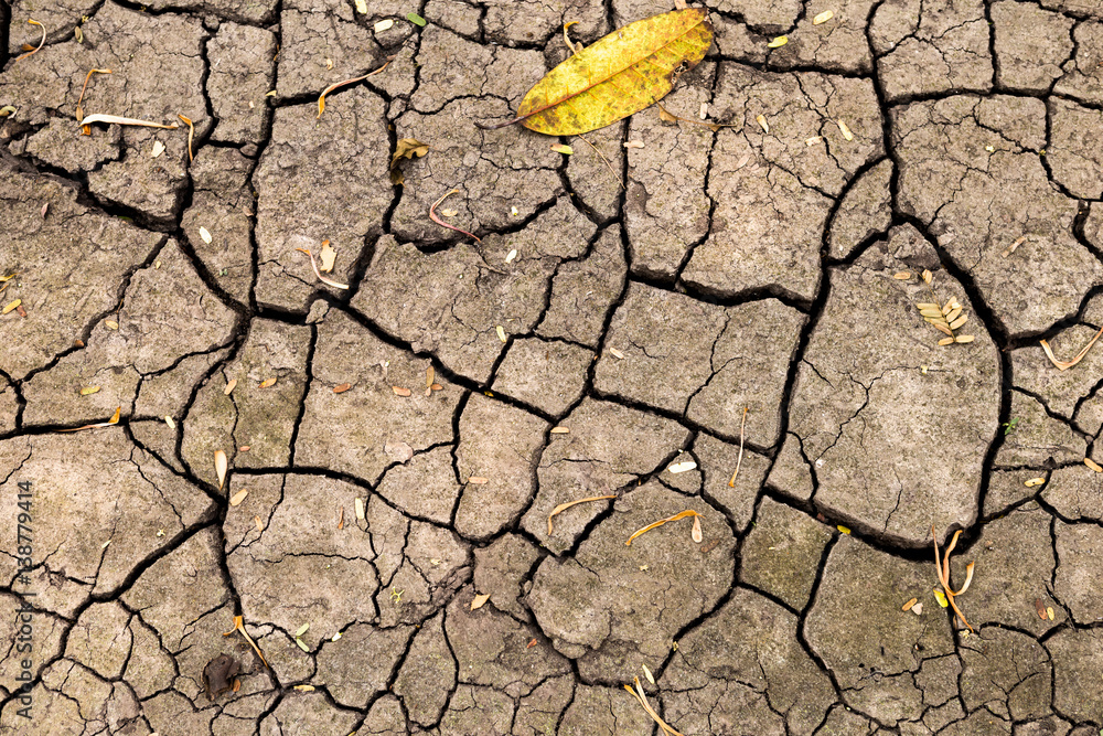 Natural crack pattern, abstract crack soil texture Stock-Foto | Adobe Stock