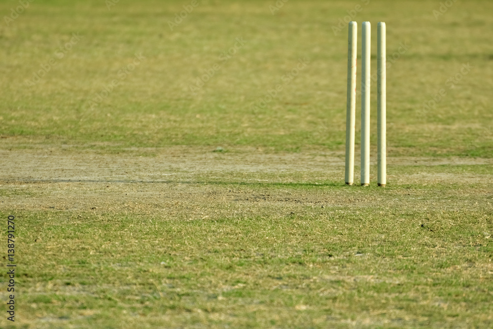 Empty cricket pitch to play Stock Photo | Adobe Stock