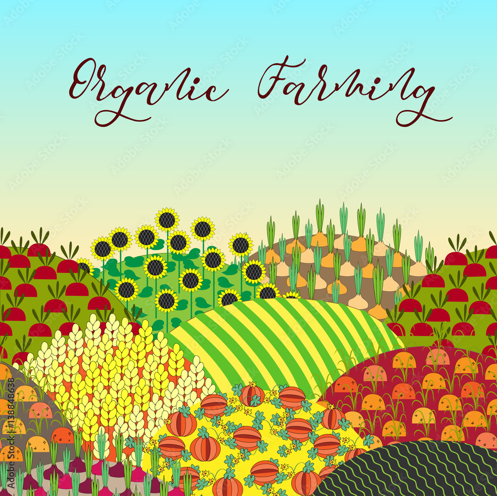 Organic farming background. Pattern with plenteous fields landscape ...