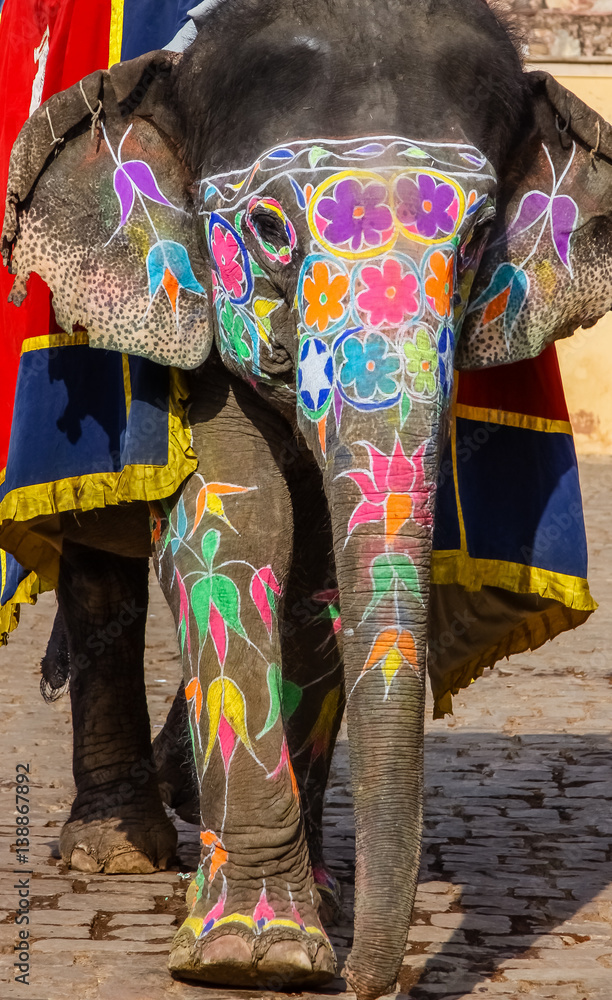 Painted Indian Elephants