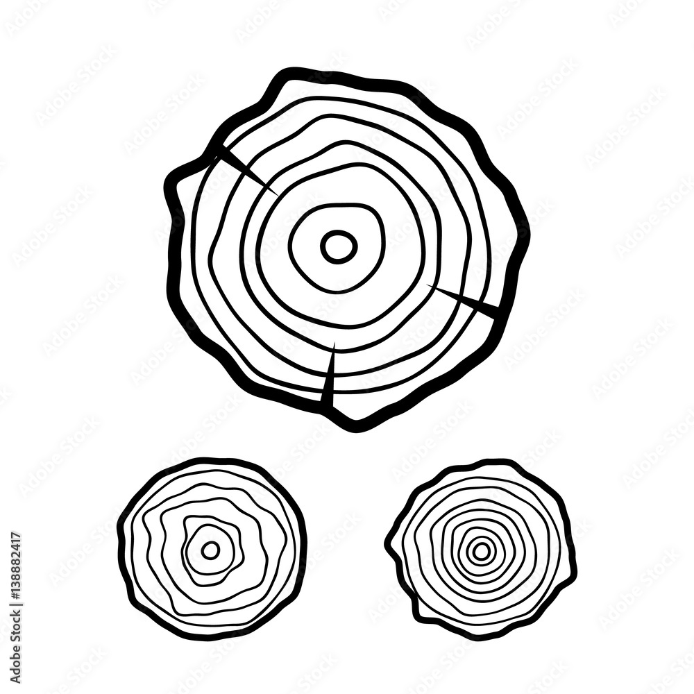 Tree rings vector illustration. Tree rings vintage symbol. Stock Vector ...