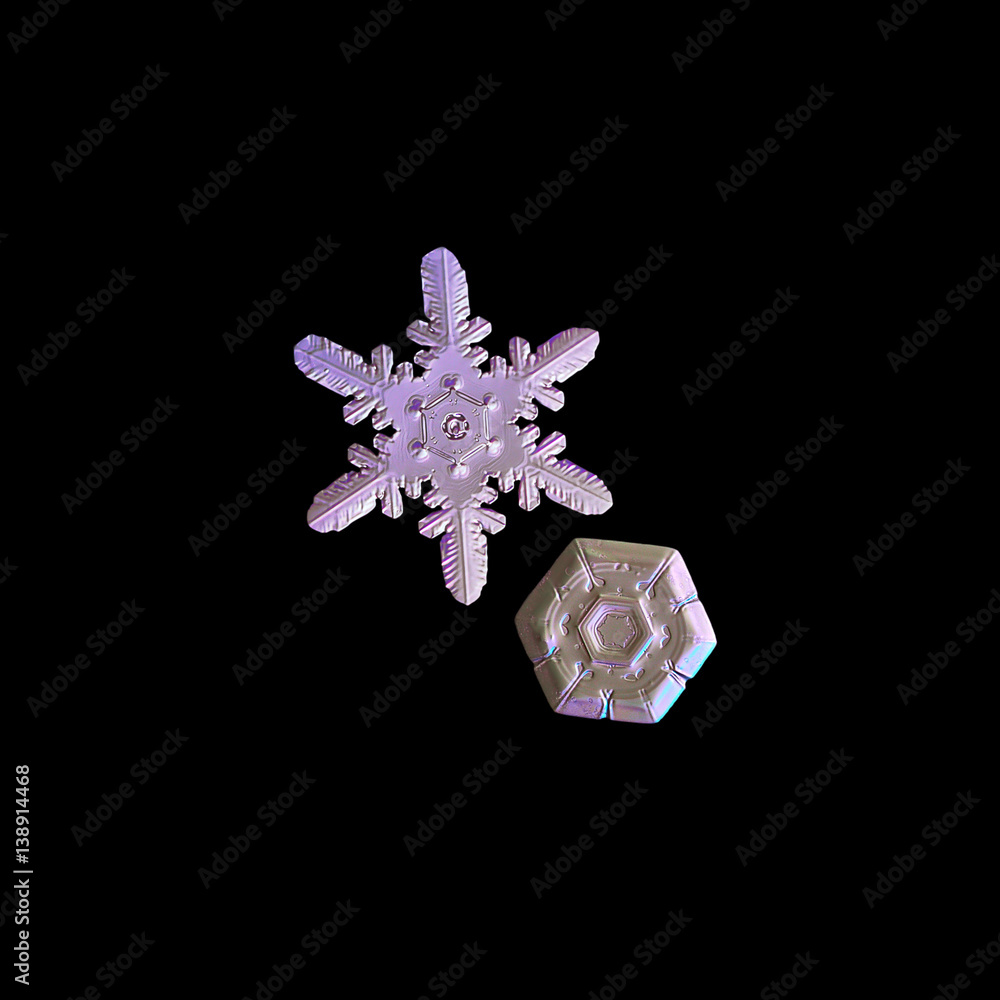 Two snowflakes isolated on black background. This is macro photo of ...