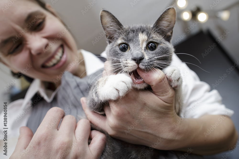 funny angry kitty biting the finger of a woman who screams and winces ...