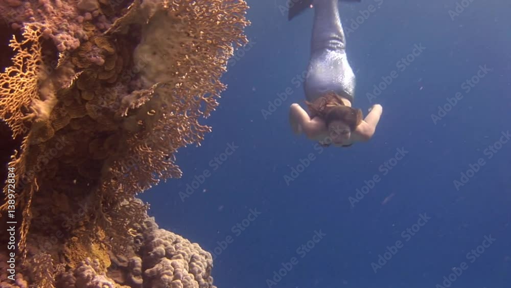 Underwater model free diver swims in mermaid costume in Red Sea ...