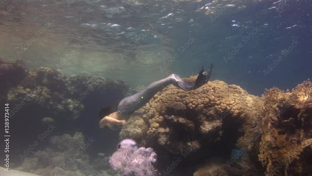 Underwater model free diver swims in mermaid costume in Red Sea ...
