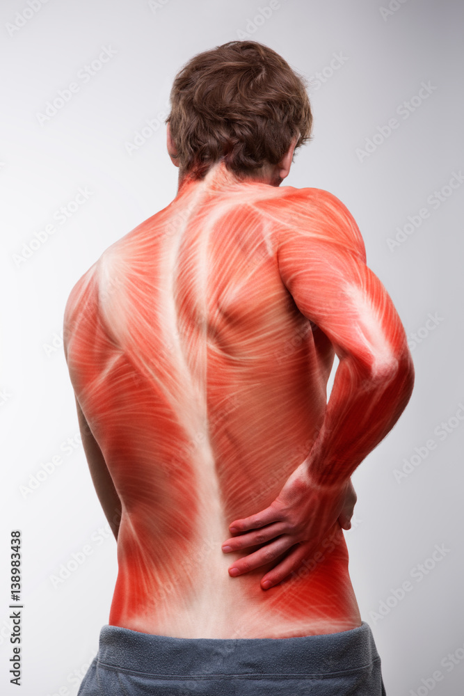 Back pain. Back view of athlete man torso with muscle structure. Stock ...