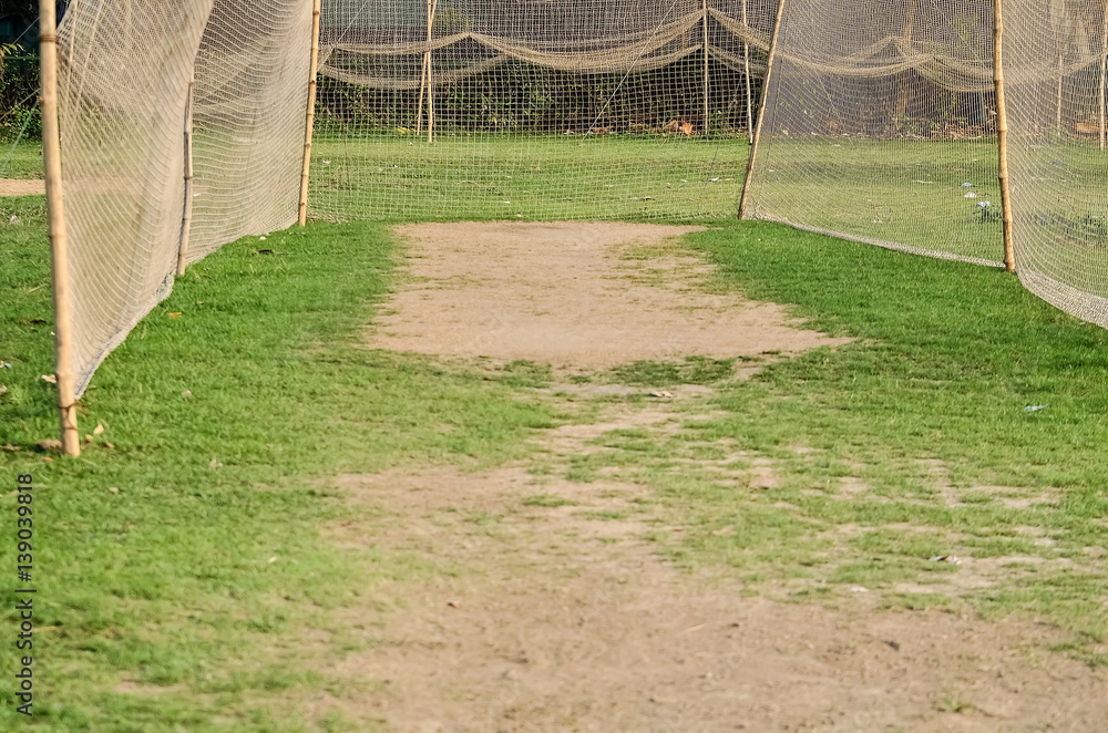Empty cricket pitch Stock Photo | Adobe Stock