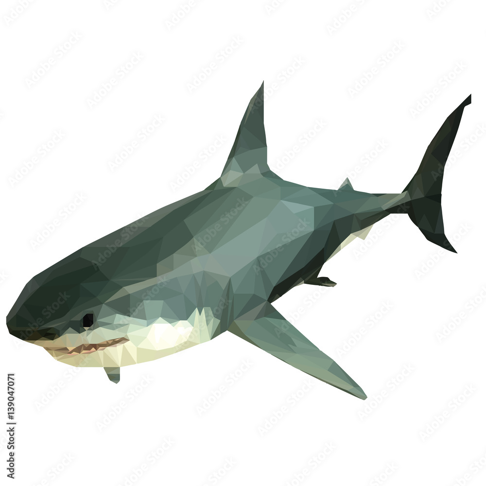 Polygon white shark Stock Vector | Adobe Stock