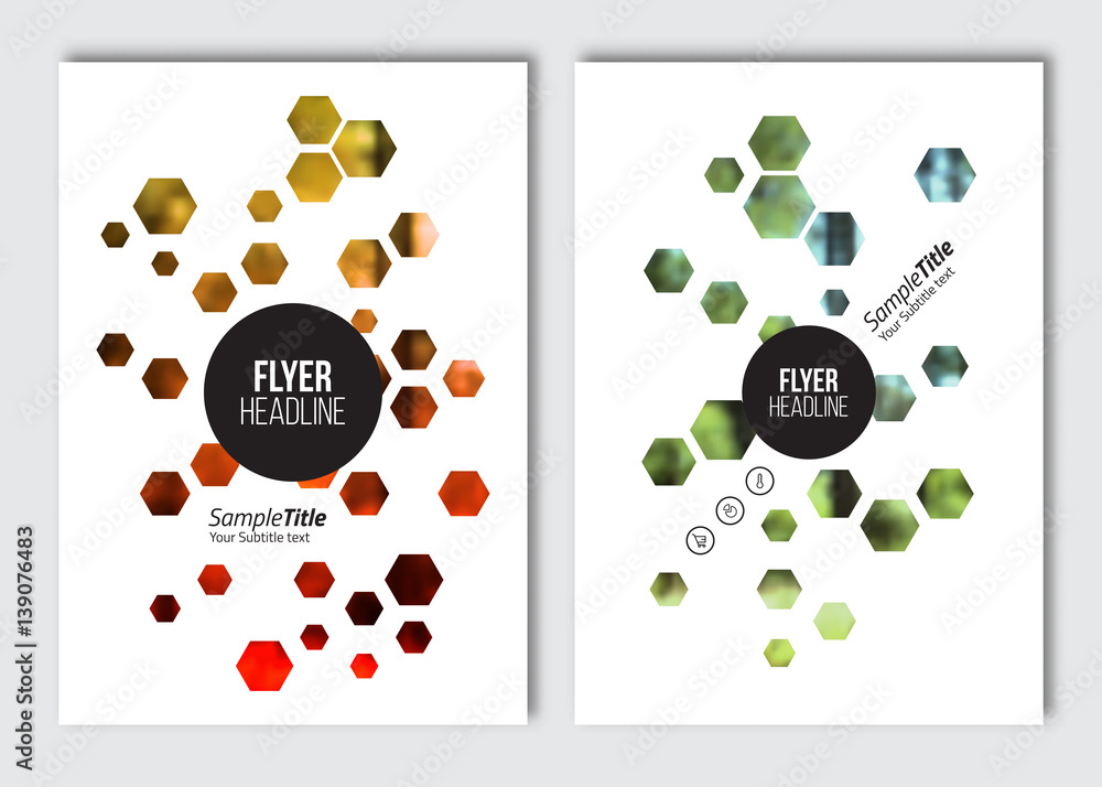 Flyer layout template. Vector brochure background with elements for ...