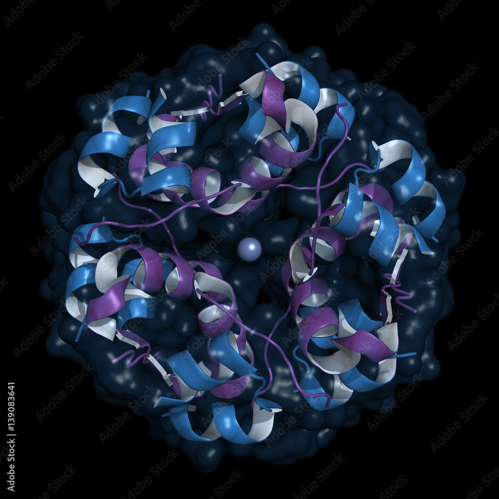 Insulin molecules assembled in a hexamer, coordinated around the zinc ...