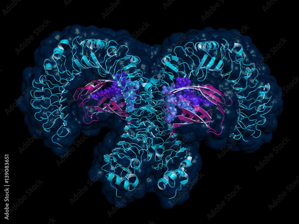 Toll-like receptor (TLR4) bound to MD2 (violet) and LPS ... Toll-like receptor (TLR4) bound to MD2 (violet) and LPS ...