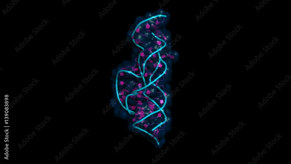 Hammerhead ribozyme is an RNA molecule that catalyzes targeted RNA ...
