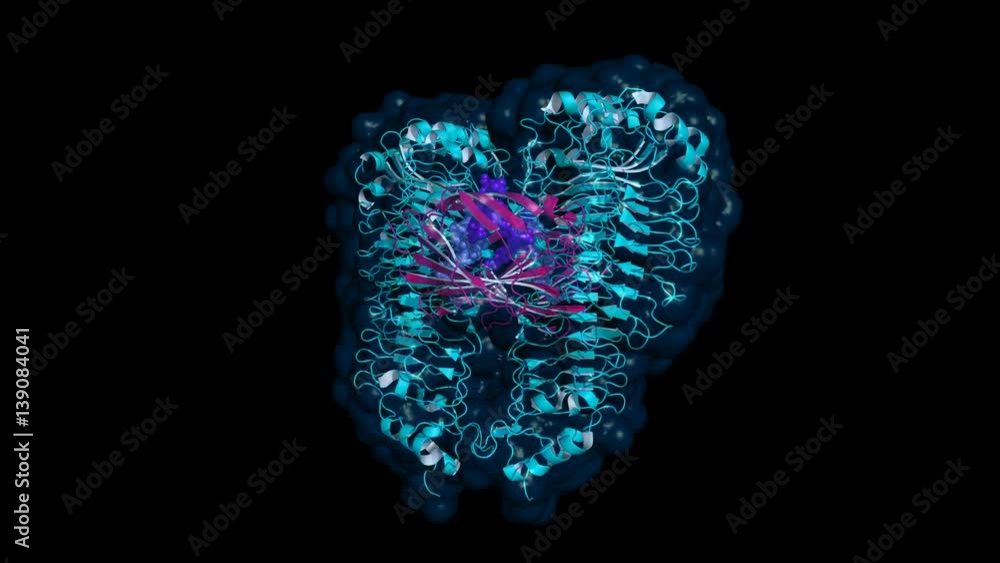 Toll-like receptor (TLR4) bound to MD2 (violet) and LPS ... Toll-like receptor (TLR4) bound to MD2 (violet) and LPS ...