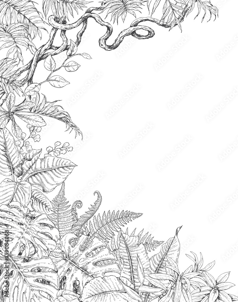 One Sided Background with Tropical Plants Stock Vector | Adobe Stock