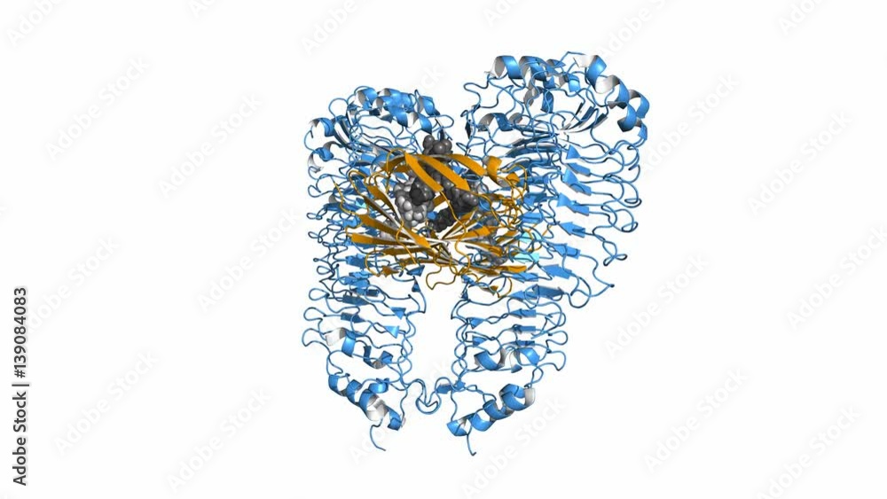 Toll-like receptor (TLR4) bound to MD2 (orange) and LPS ... Toll-like receptor (TLR4) bound to MD2 (orange) and LPS ...