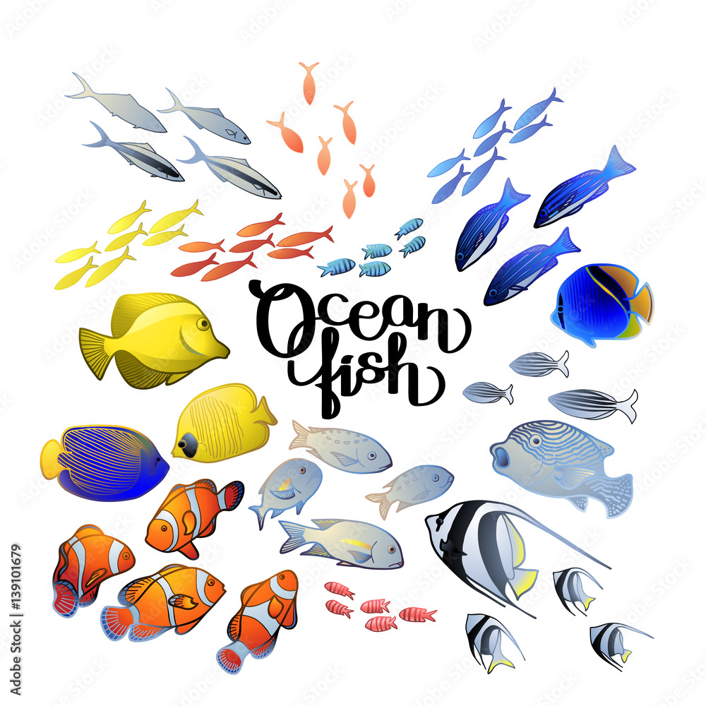 Graphic ocean fish Stock Vector | Adobe Stock