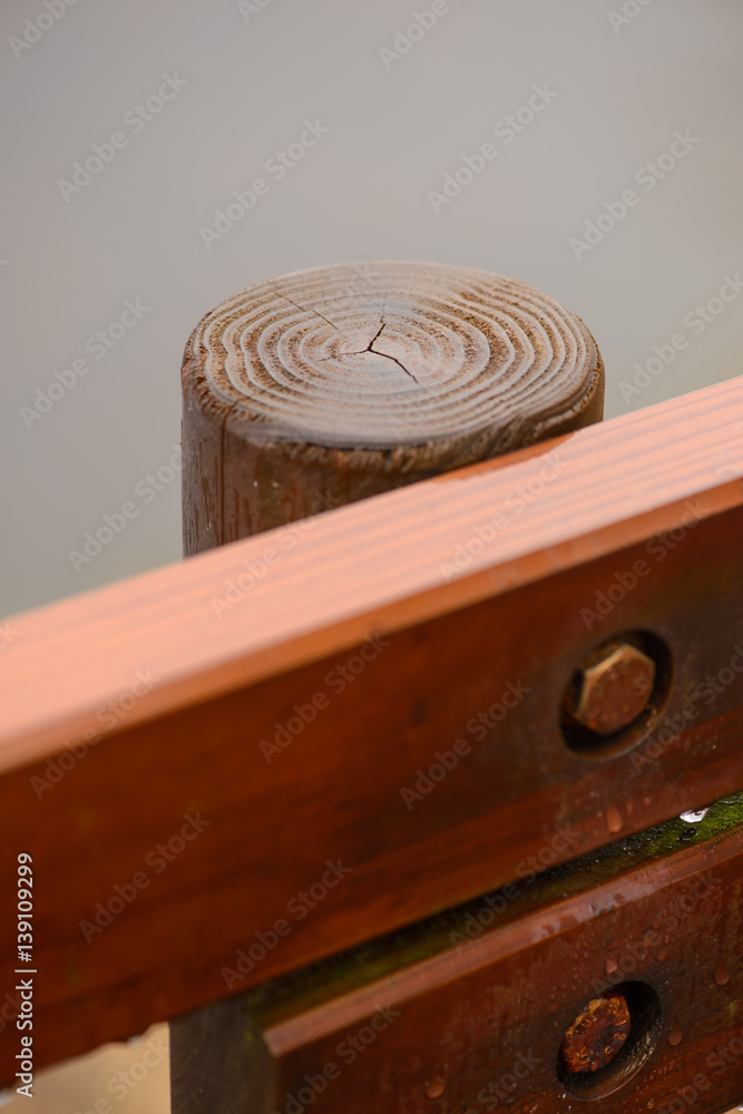 Close-up macro detail of the tree rings on the post of a wooden fence ...