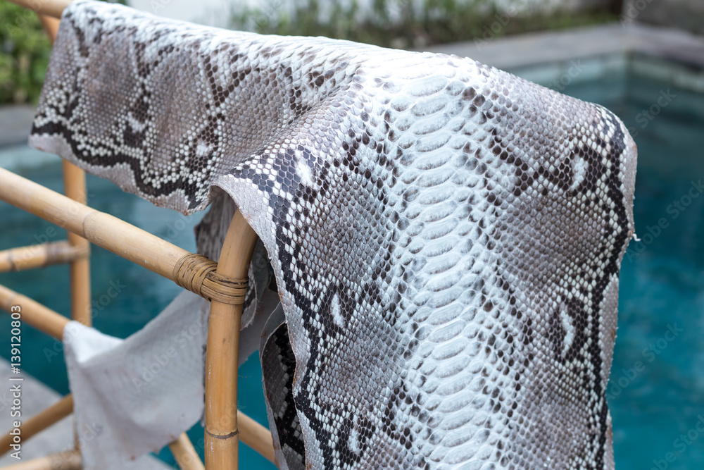 Genuine python snakeskin leather, snake skin, texture background ...