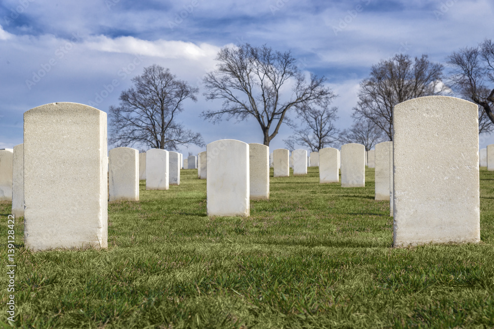 Rows of blank headstones in a cemetery. Stock Photo | Adobe Stock