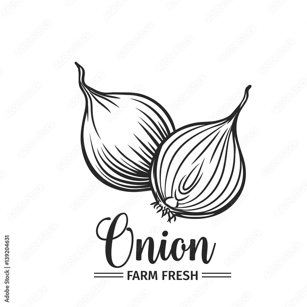Stockvector Hand drawn onion icon. | Adobe Stock
