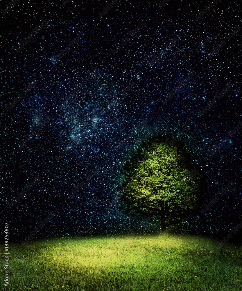 Beautiful landscape with lonely tree over the night sky with stars ...