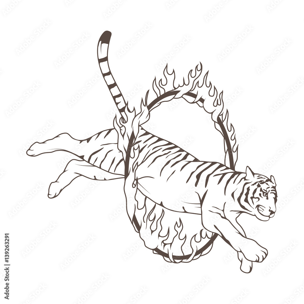 Circus Tiger Jumping Through Hoop