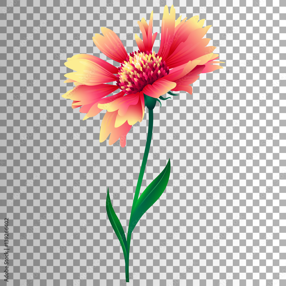 Cute Pink Flower Clipart No Background