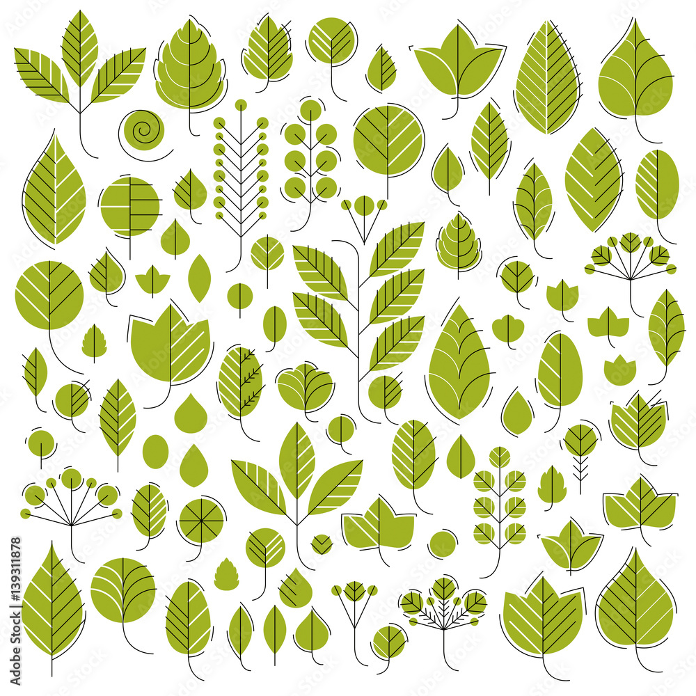Vector illustration of green tree leaves isolated on white background ...