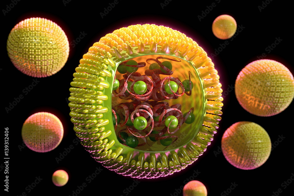 Hepatitis B virus HBV model 3D illustration Stock Illustration | Adobe ...
