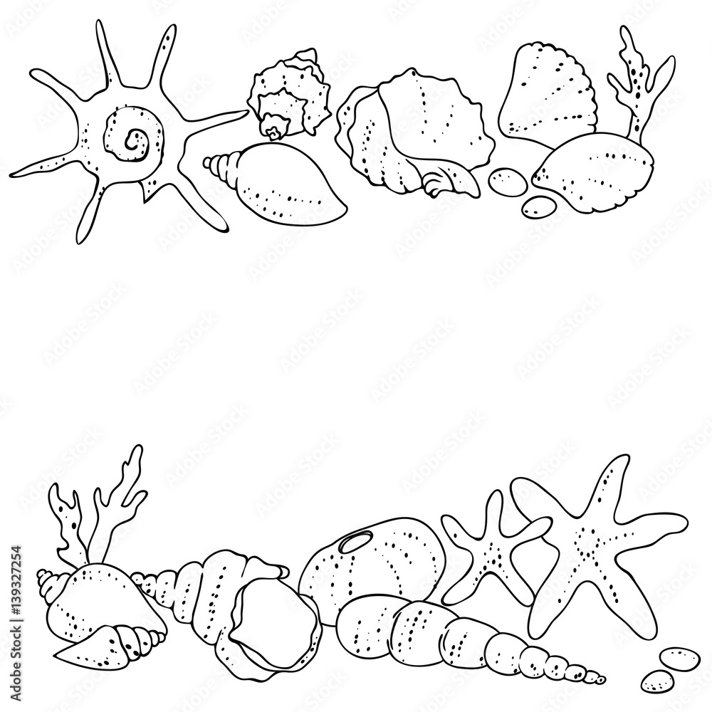 Conch Shell Black And White