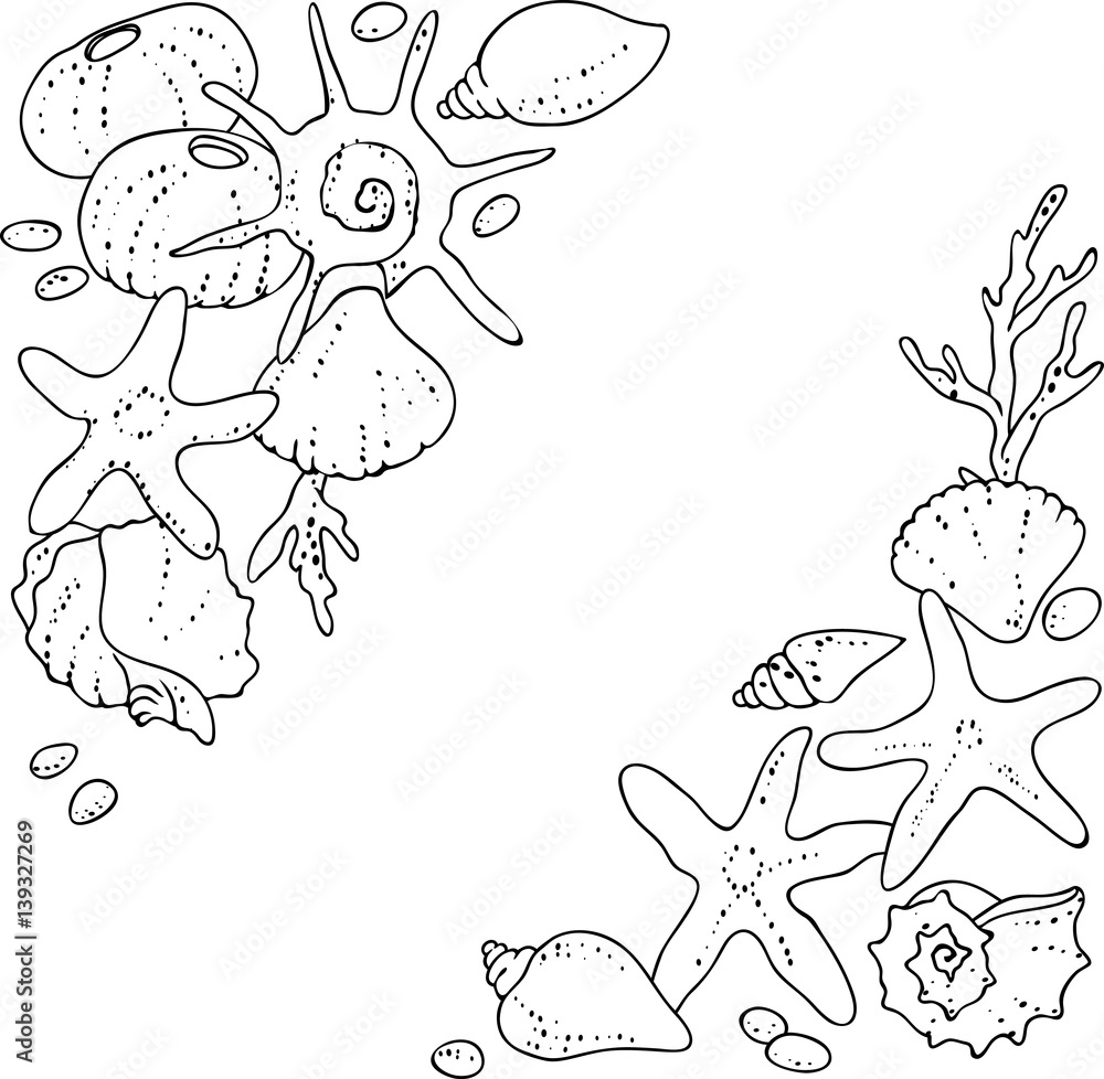 vector black white contour sketch of sea shells corner frame Stock ...