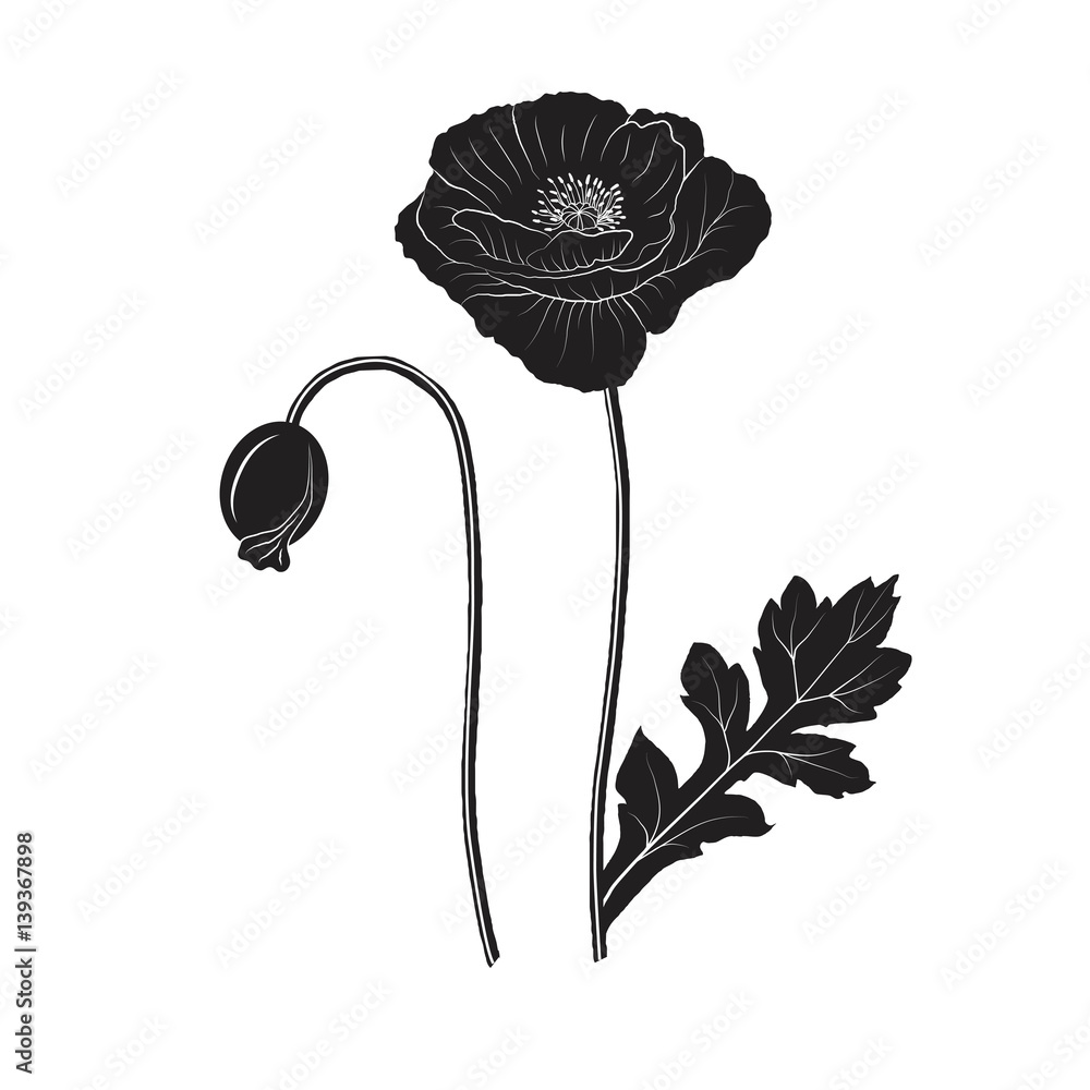 Black poppy set - vector illustration Stock Vector | Adobe Stock