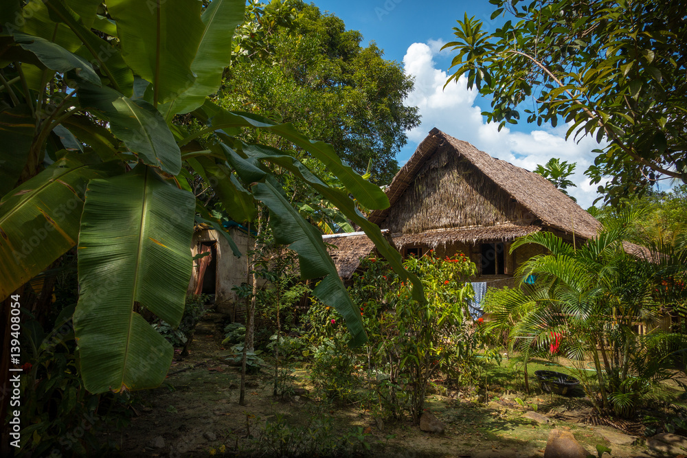Traditional Filipino house with Banana Tree and Lush Jungle - Port ...