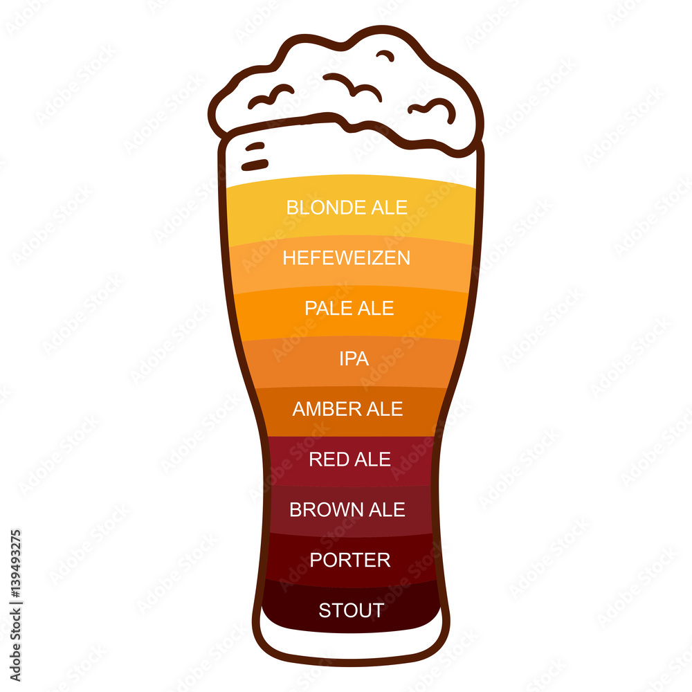 Beer glass craft vintage type infographic chart Stock Vector | Adobe Stock