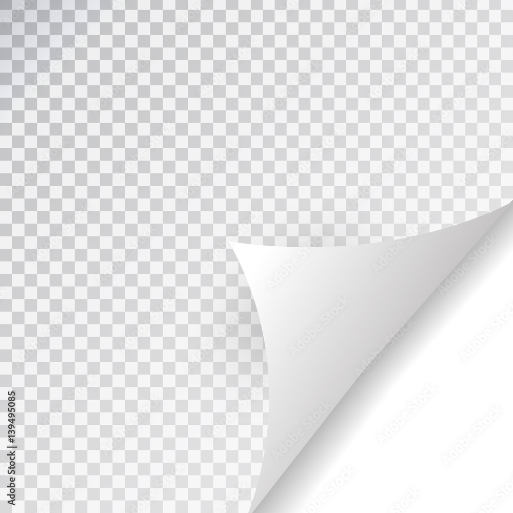 Vector white paper page curl on the transparent background. Stock ...