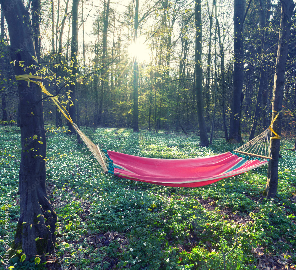 Ruhepause, Entspannung in der Natur Stock 写真 | Adobe Stock