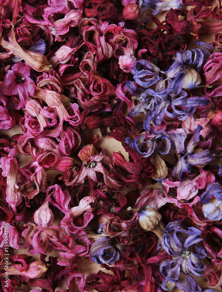 Flower texture of dried flowers Stock Photo | Adobe Stock