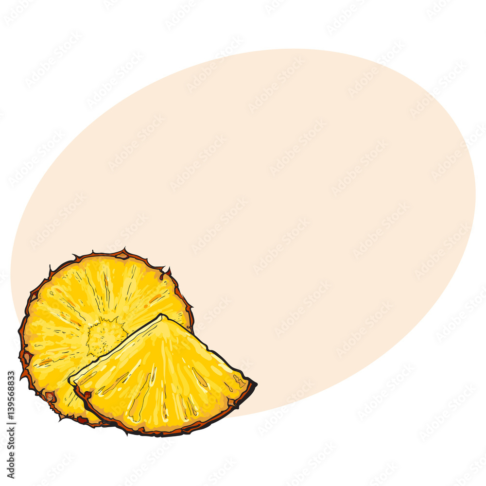 Unpeeled round and wedge cut pineapple slices, sketch style vector ...