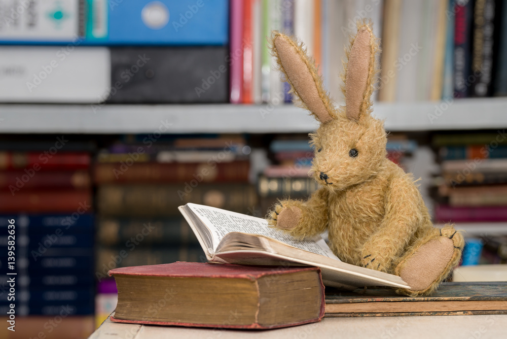 Rabbit reading books, child's reading, learning concept Stock Photo ...