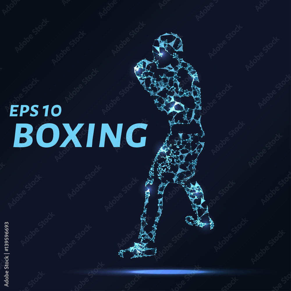 Boxer consists of points, lines and triangles. The polygon shape in the ...